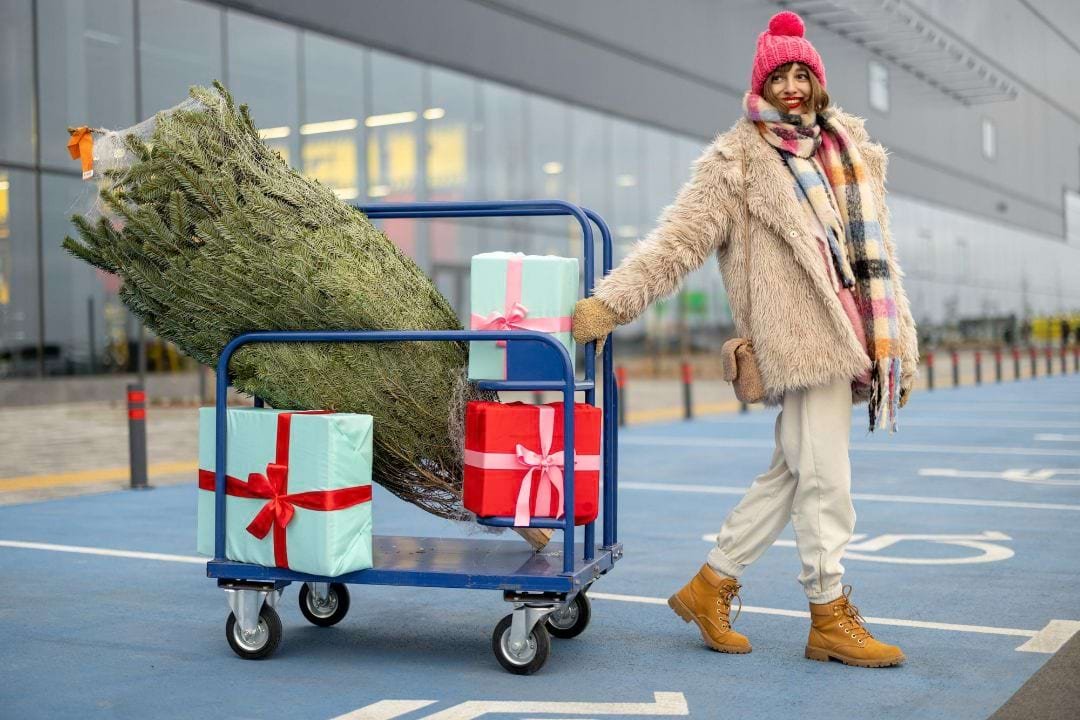 If You Want to Travel to Schengen Area for Christmas, Start Preparing ...